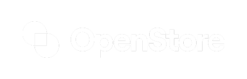 OpenStore Case Study - Google Ads Strategy